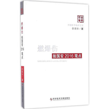 燃爆伤张国安2016观点