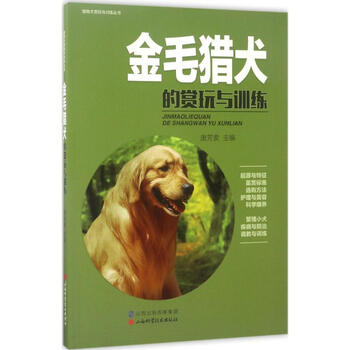 金毛猎犬的赏玩与训练