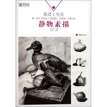 我要上央美静物素描