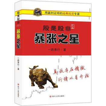 股是股非(3)暴涨之星
