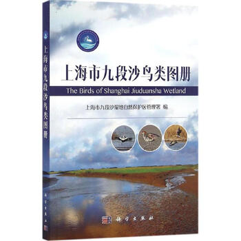 上海市九段沙鸟类图册