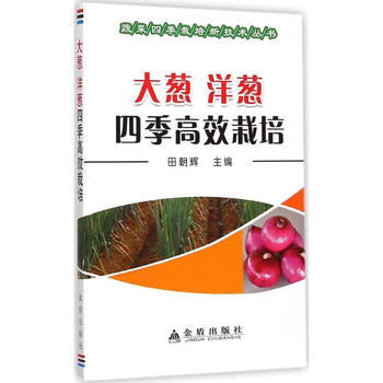大葱洋葱四季高效栽培
