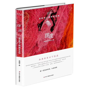 正版 摆渡——互联网人的解忧密码9787515822143