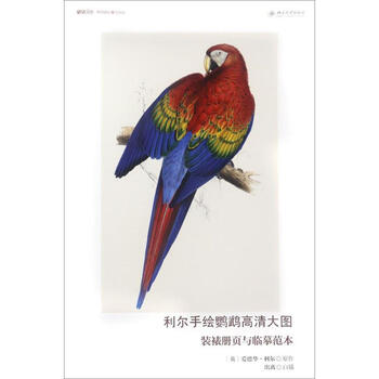 利尔手绘鹦鹉高清大图