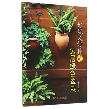 好玩又好种的家居绿色盆栽