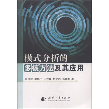 模式分析的多核方法及其应用