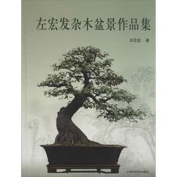 左宏发杂木盆景作品集