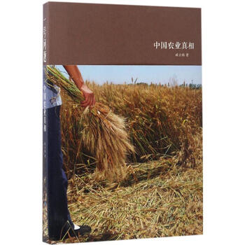 一号问题
