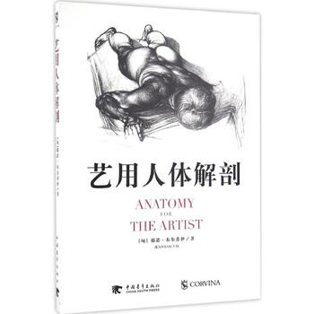 艺用人体解剖
