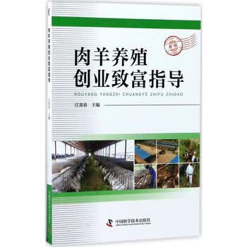 肉羊养殖创业致富指导