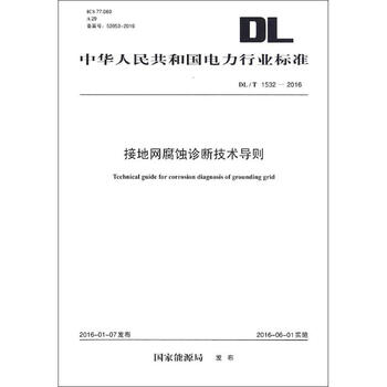 接地网腐蚀诊断技术导则