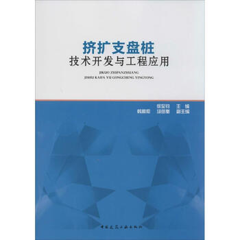 挤扩支盘桩技术开发与工程应用