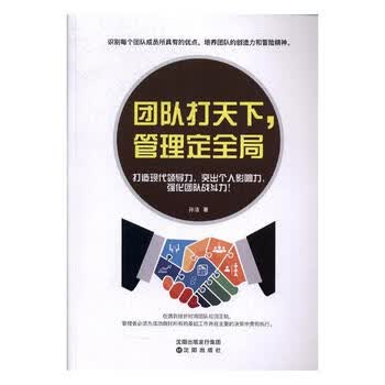 团队打天下，管理定全局 管理 书籍