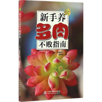 新手养多肉不败指南