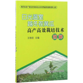 日光温室越冬茬黄瓜高产高效栽培技术图解
