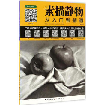 素描静物从入门到精通