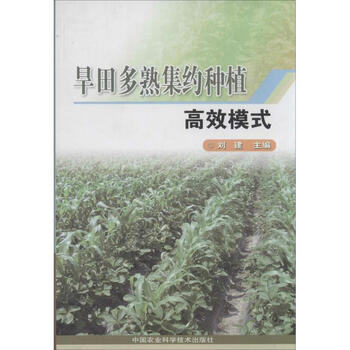 旱田多熟集约种植高效模式