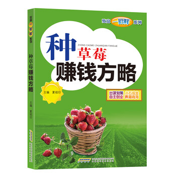 种草莓赚钱方略