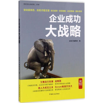 企业成功大战略(大字版)