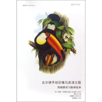 古尔德手绘巨嘴鸟高清大图