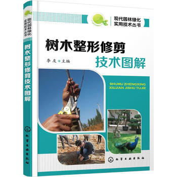 树木整形修剪技术图解