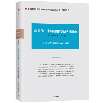 新时代 中国道路的延伸与使命 中信出版社