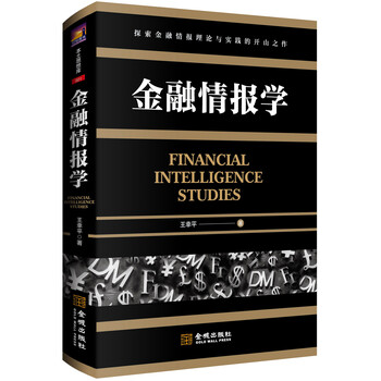 21世纪犯罪情报：公共安全从业者指南 金融情报学