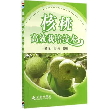 核桃高效栽培技术