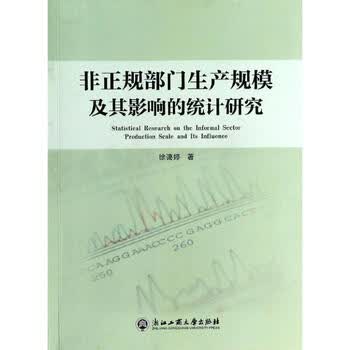 非正规部门生产规模及其影响的统计研究