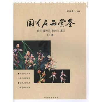 国兰名品赏鉴(上册)