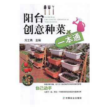 阳台创意种菜一本通 家居 书籍