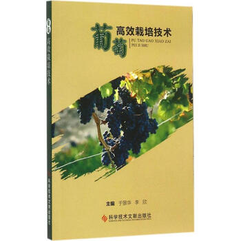 葡萄高效栽培技术