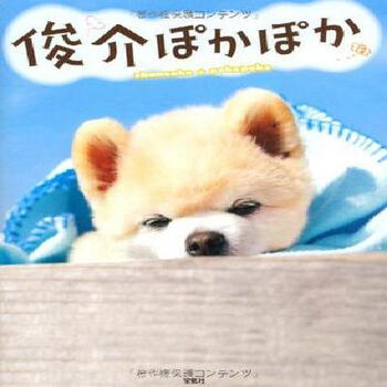 日版 俊介ぽかぽか 俊介