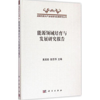 能源领域培育与发展研究报告