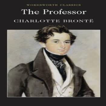 教授 Professor 经典小说 英文 原版