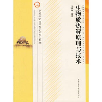 生物质热解原理与技术