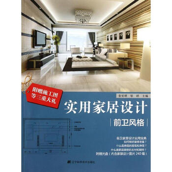 实用家居设计.前卫风格