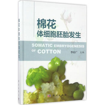 棉花体细胞胚胎发生