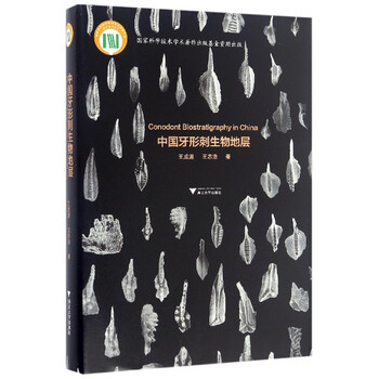 中国牙形刺生物地层(精)