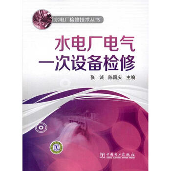 水电厂电气一次设备检修