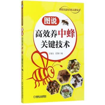 图说高效养中蜂关键技术
