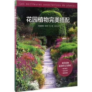 花园植物完美搭配