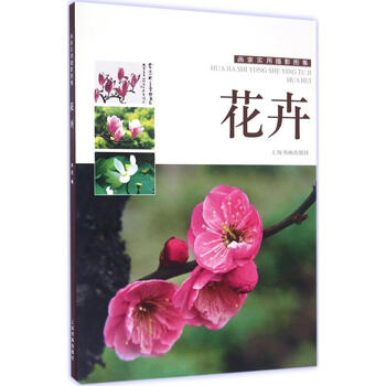 画家实用摄影图集花卉