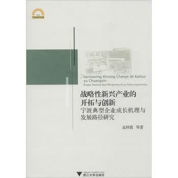 战略性新兴产业的开拓与创新