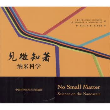 见微知著