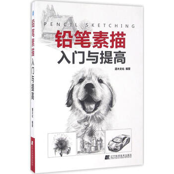 铅笔素描入门与提高