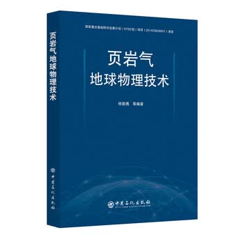 页岩气地球物理技术