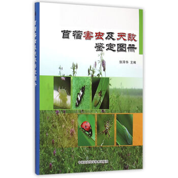 苜蓿害虫及天敌鉴定图册