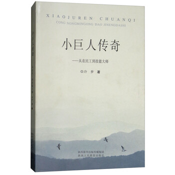小巨人传奇：从农民工到技能大师