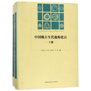 中国晚古生代孢粉化石(上下)(精)